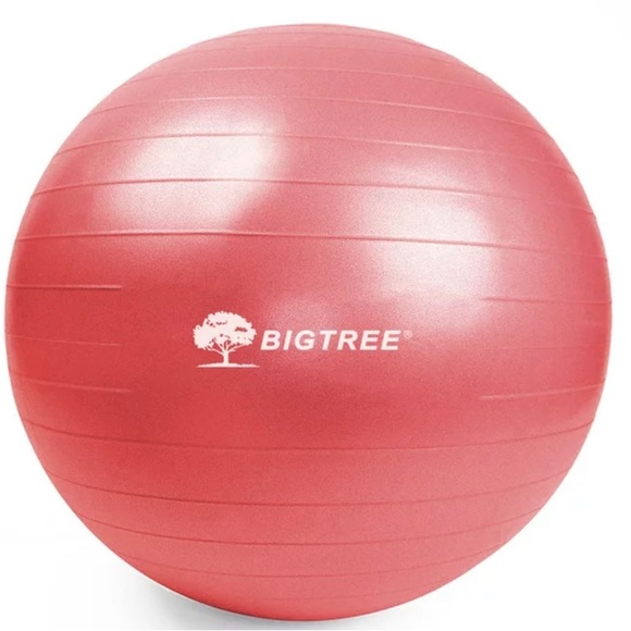 big tree | Other | New Big Tree Coral Pink Yoga Ball | Poshmark
